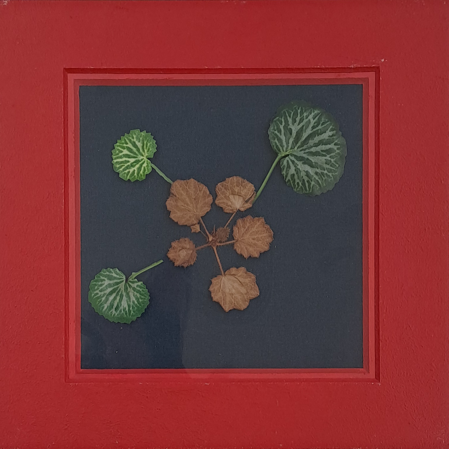 Patrick Gofre, Dualité – luxe editie, antiquarisch | Philip Elchers